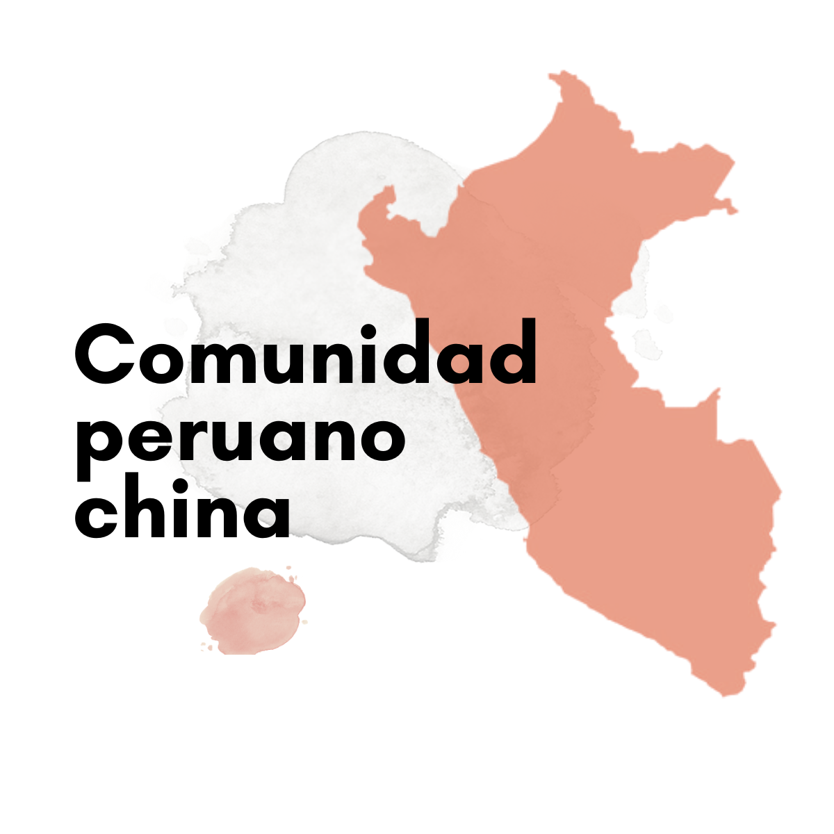 Comunidad peruano china · IdenTusanes Biblioteca digital